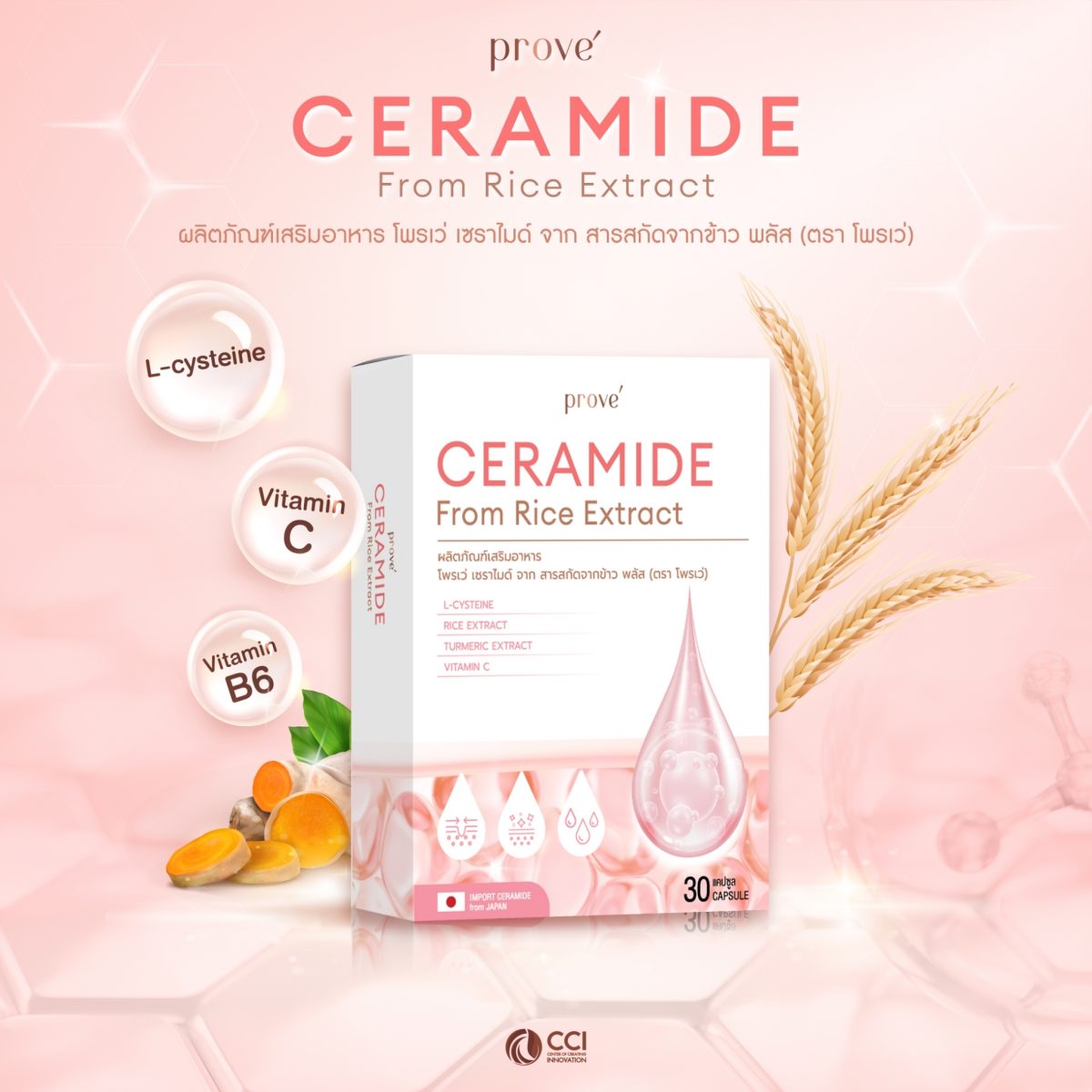 ผลิตภัณฑ์ Prove' CERAMIDE From Rice Extract นวัตกรรมจากสมุนไพรไทยแท้ ...